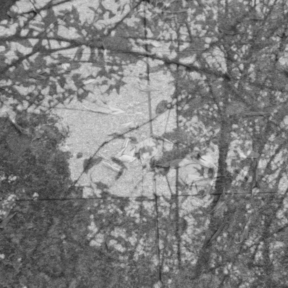 Relay - UCCF Arts Network